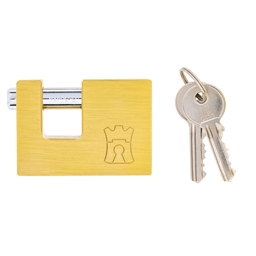 P2E30 - Insurance Padlock | FortKnox